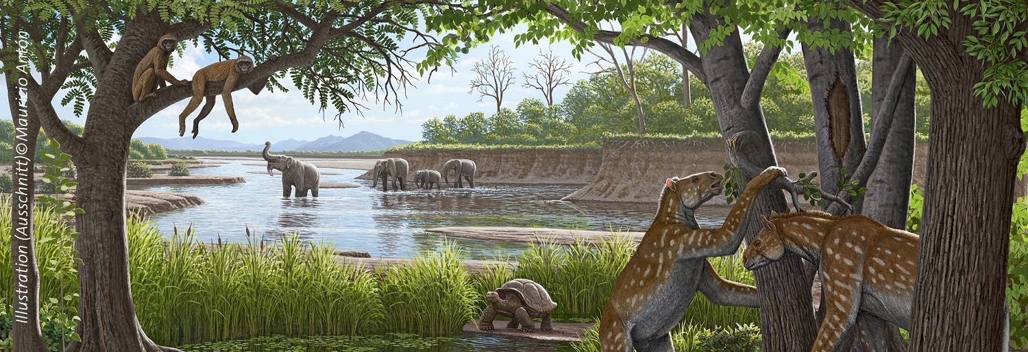 Jura-Museum Eichstätt » Sonderausstellung „Molassic Park“ eröffnet