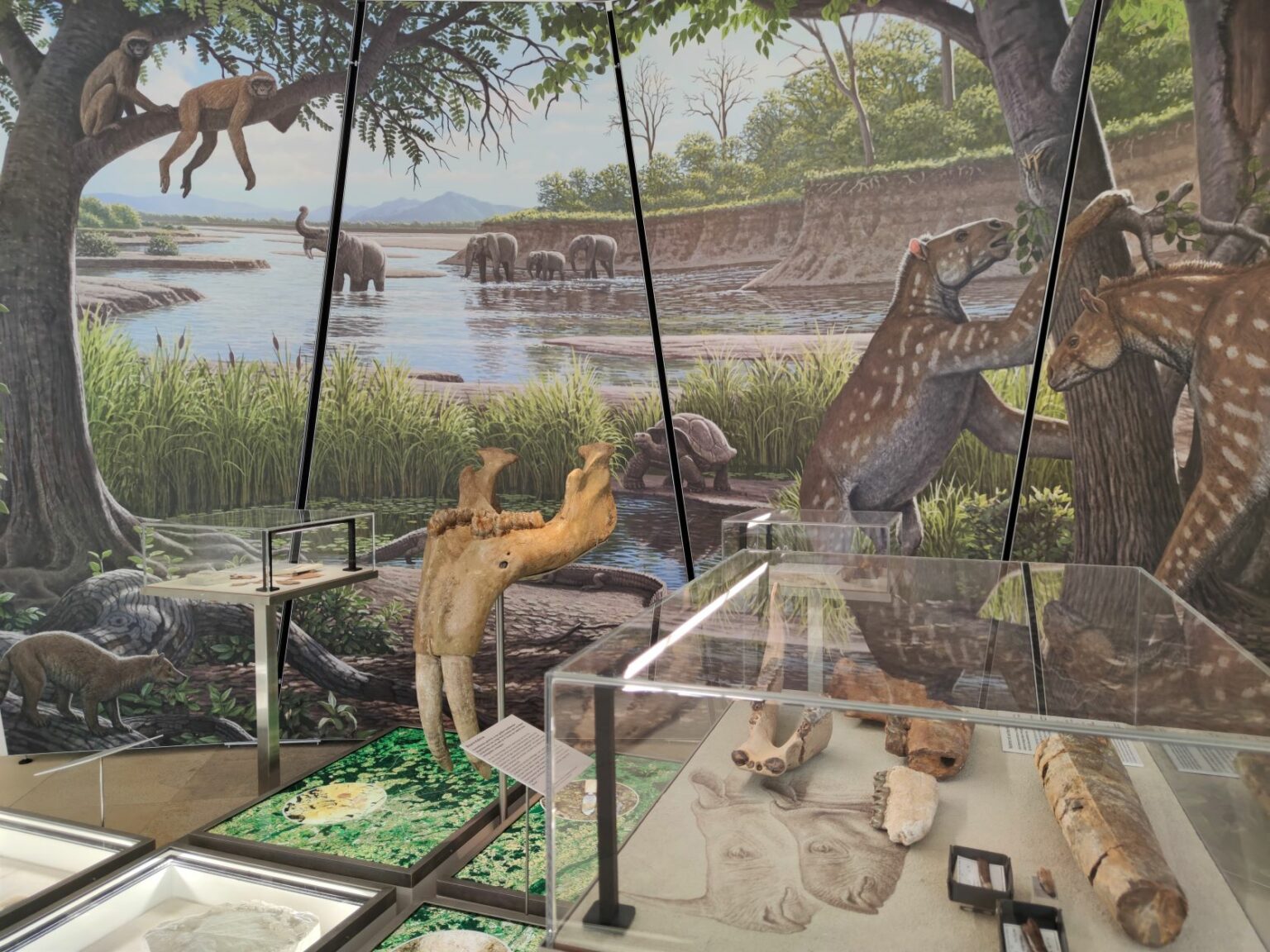 Jura-Museum Eichstätt » Sonderausstellung „Molassic Park“ eröffnet