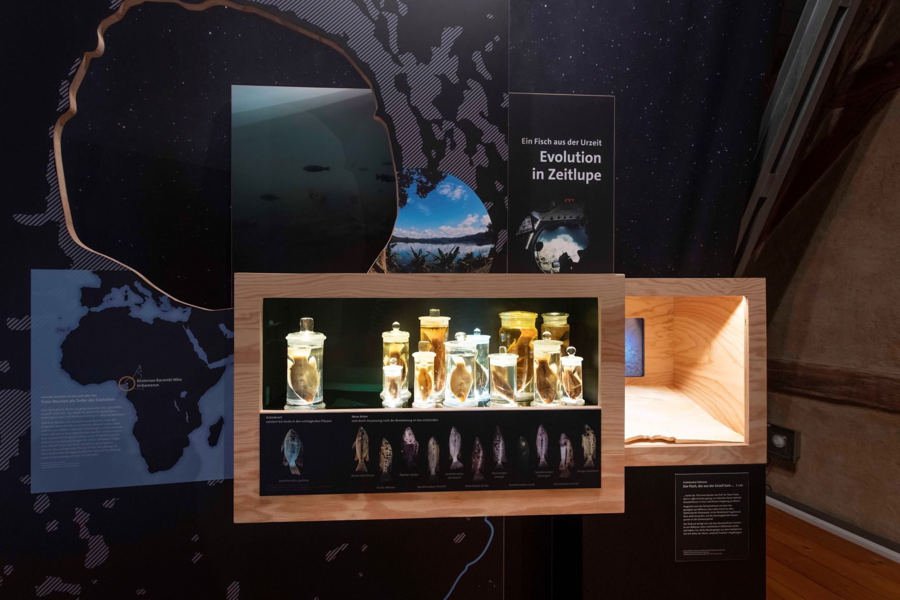Jura-Museum Eichstätt » Rückschau: Alle Zeit der Welt. Vom Urknall zur ...